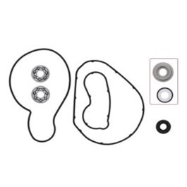 WATER PUMP REPAIR KIT WITH BEARINGS 721317 by Psychic | ORO2U